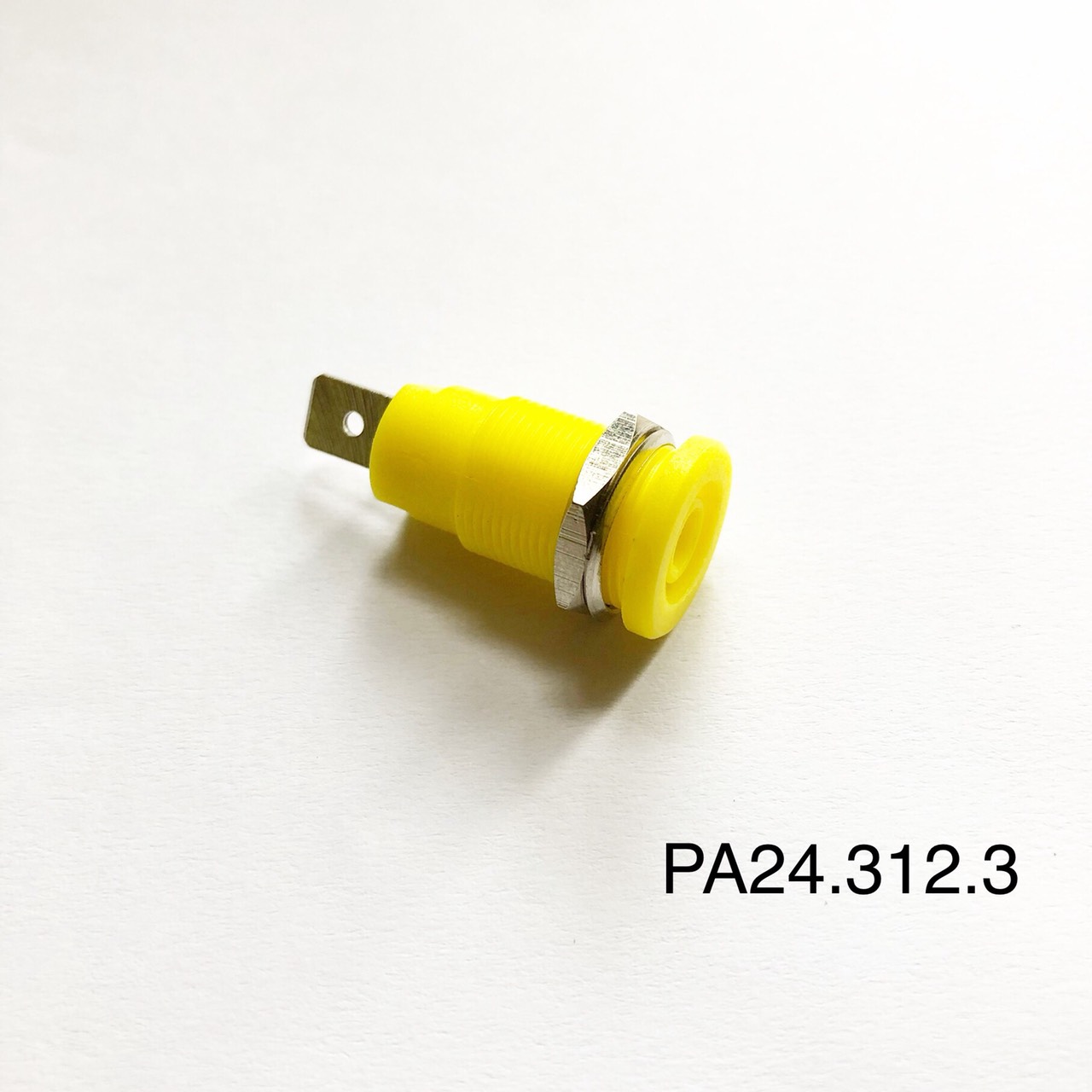 PA24.312.3